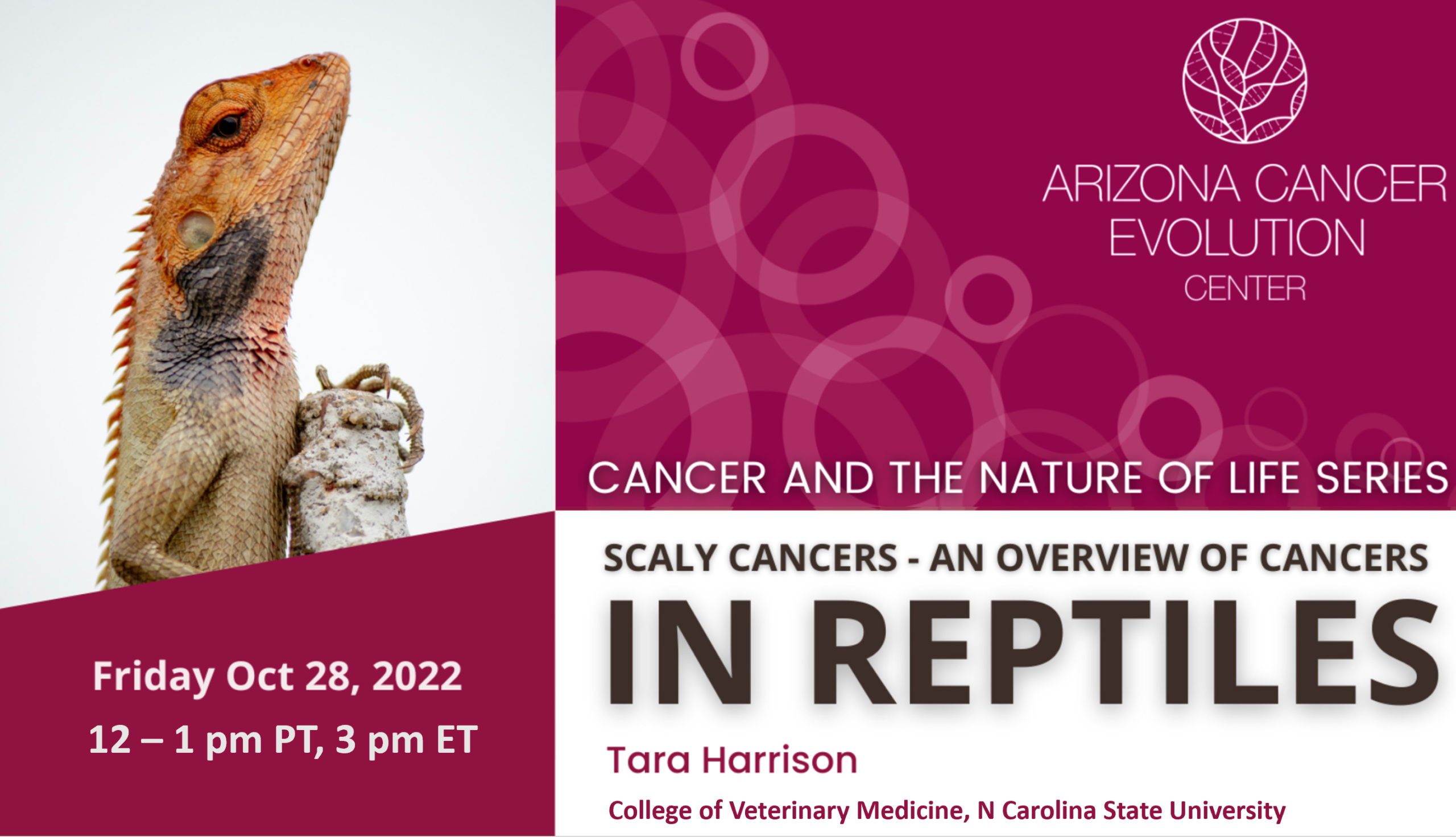 Arizona Cancer Evolution Center | Arizona Cancer Evolution Center